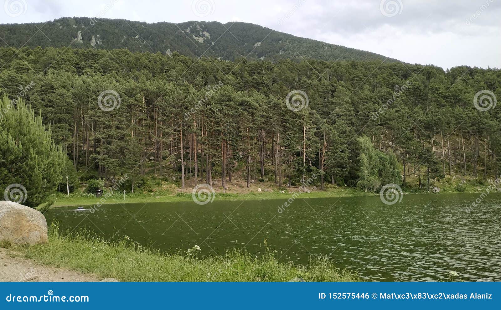 The small lake stock photo. Image of small, water, lake - 152575446