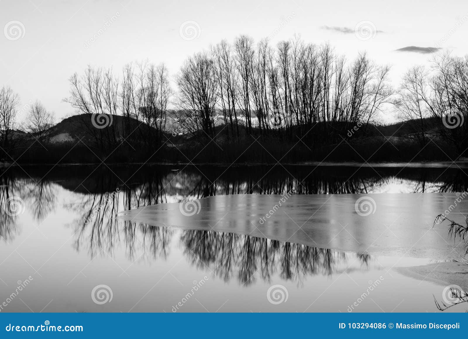 21,625 Trees Reflecting Water Stock Photos - Free & Royalty-Free Stock ...