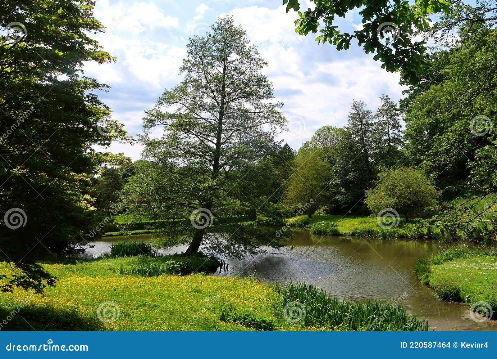 A Small Lake in a Woodland Landscape Stock Photo - Image of lake ...