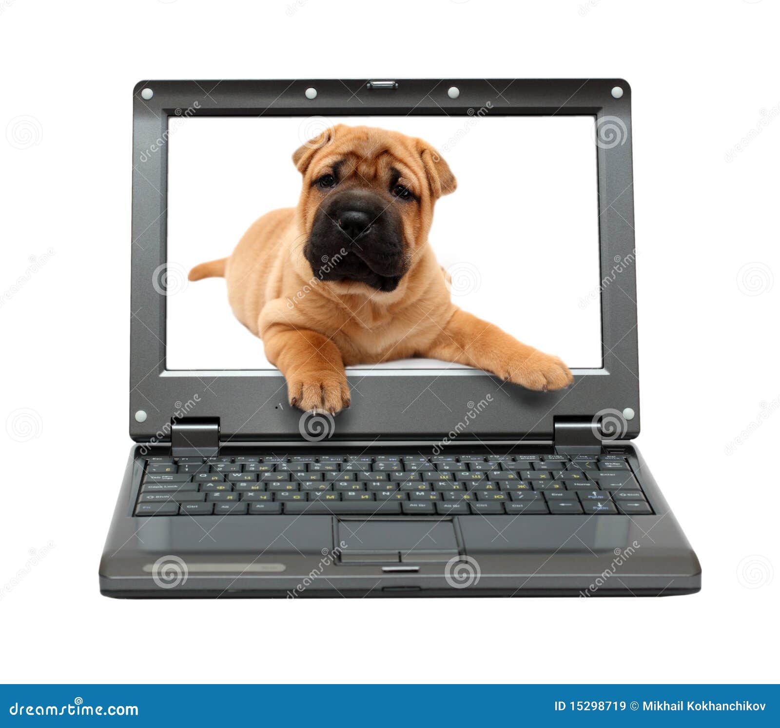 Small Laptop with Puppy Dog Stock Image - Image of open, keyboard: 15298719
