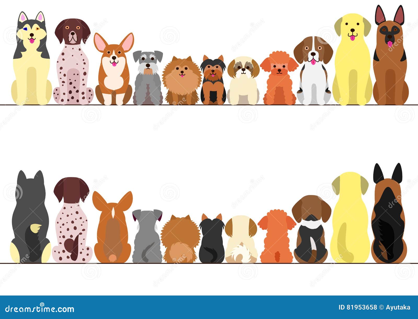 Pet Animals In Line, Front And Back Cartoon Vector | CartoonDealer.com ...
