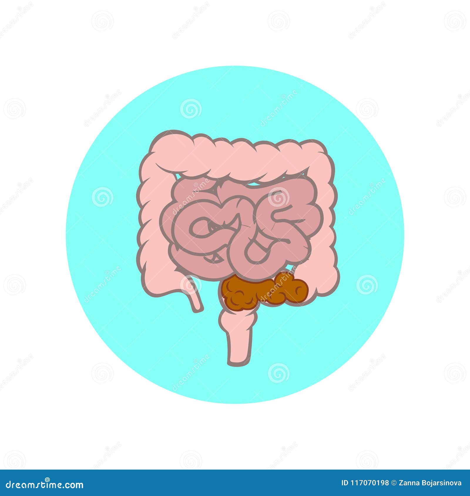 Small and Large Intestines. Constipation Concept. Stock Vector ...