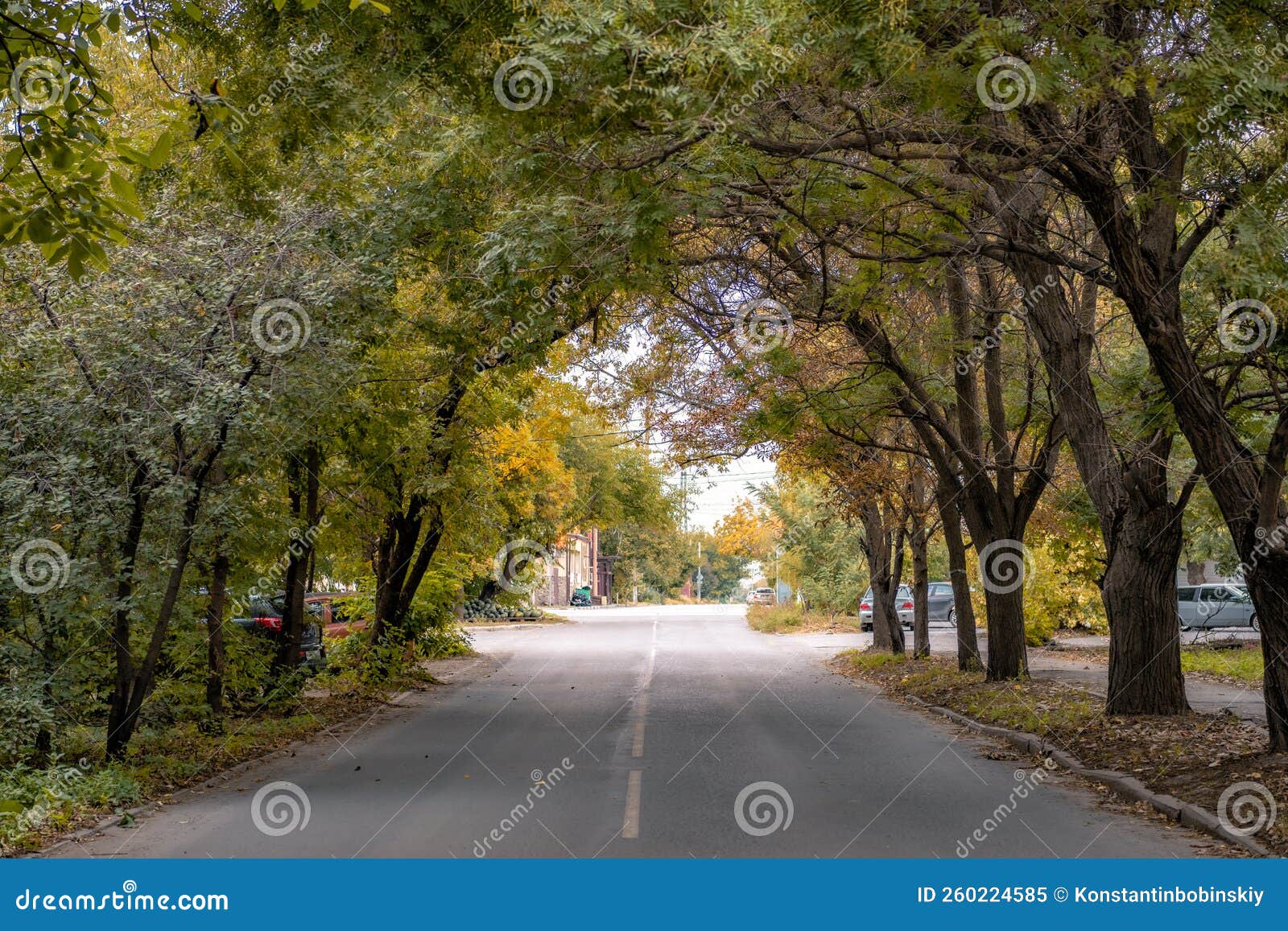 Bright, Colorful Charm of the "dull" Autumn Season Stock Image - Image ...