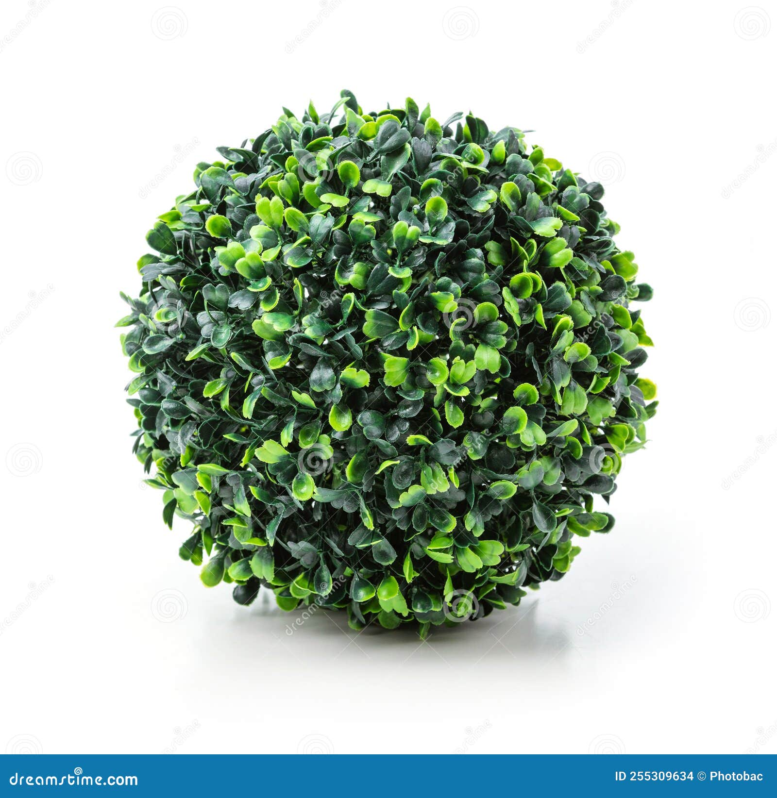 Small-leaved Artificial Plant in Round Shape Over White Background ...