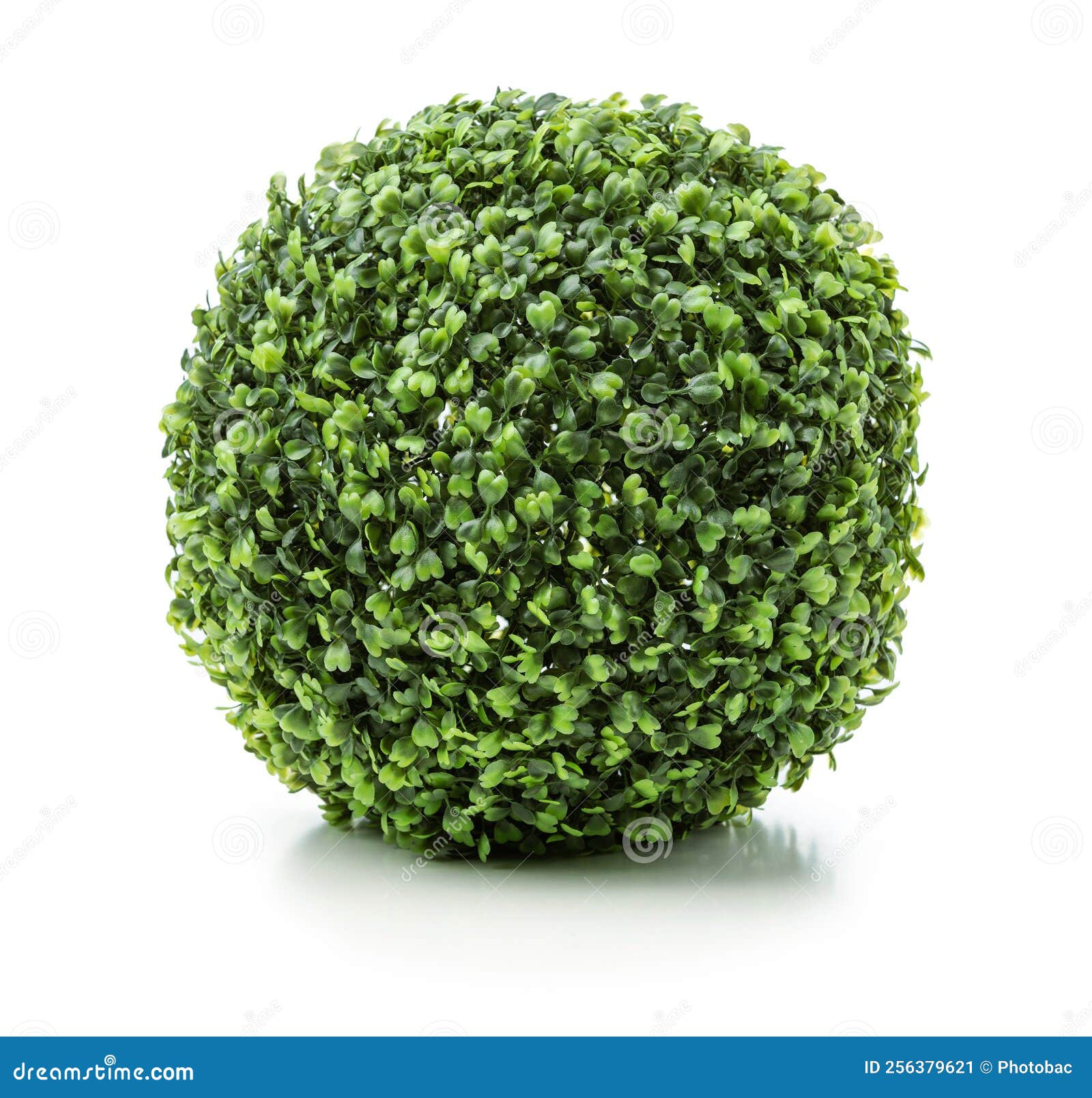Small-leaved Artificial Plant in Round Shape Over White Background ...