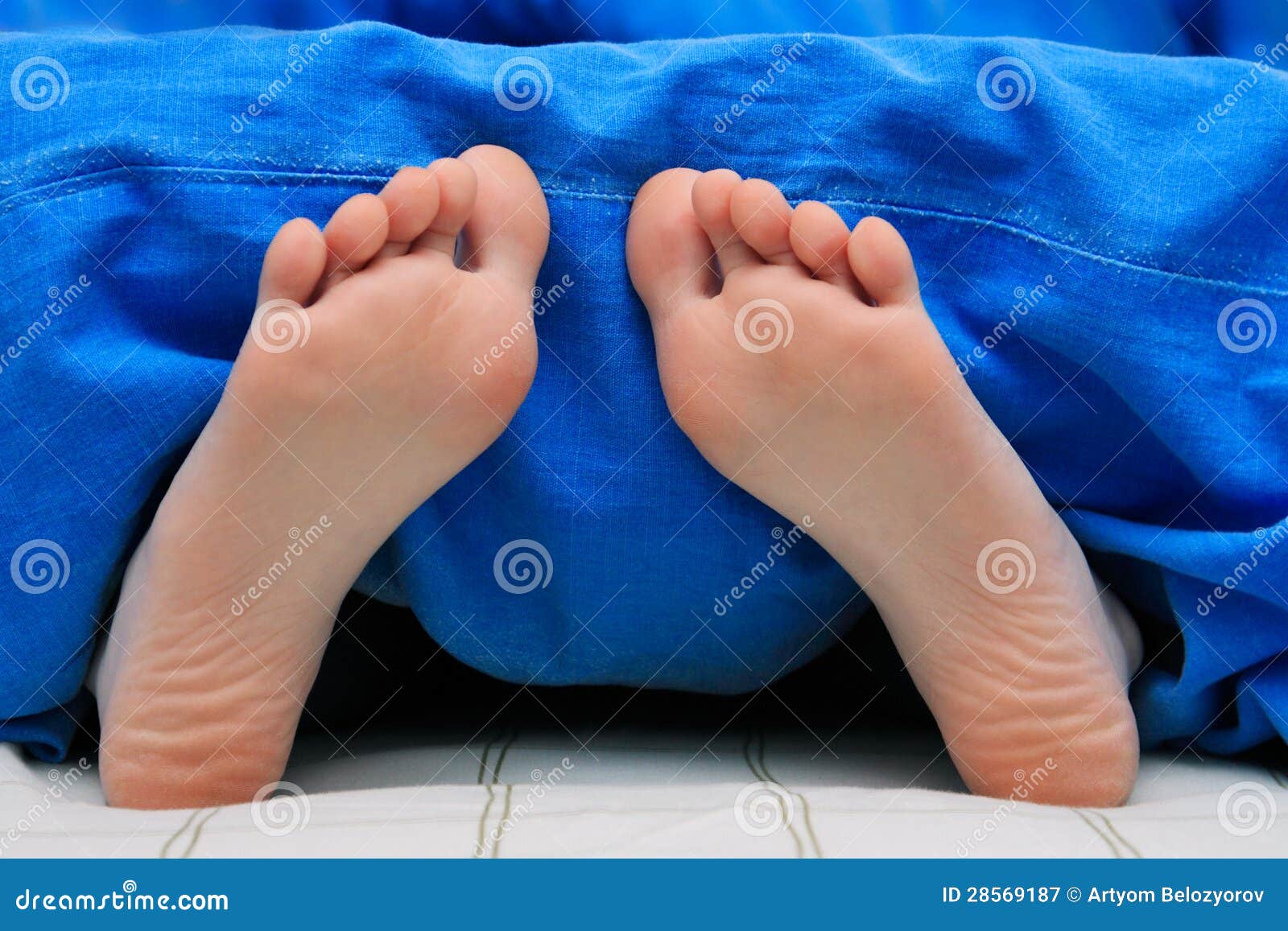 Small legs stock image. Image of softness, pedicure, blanket - 28569187
