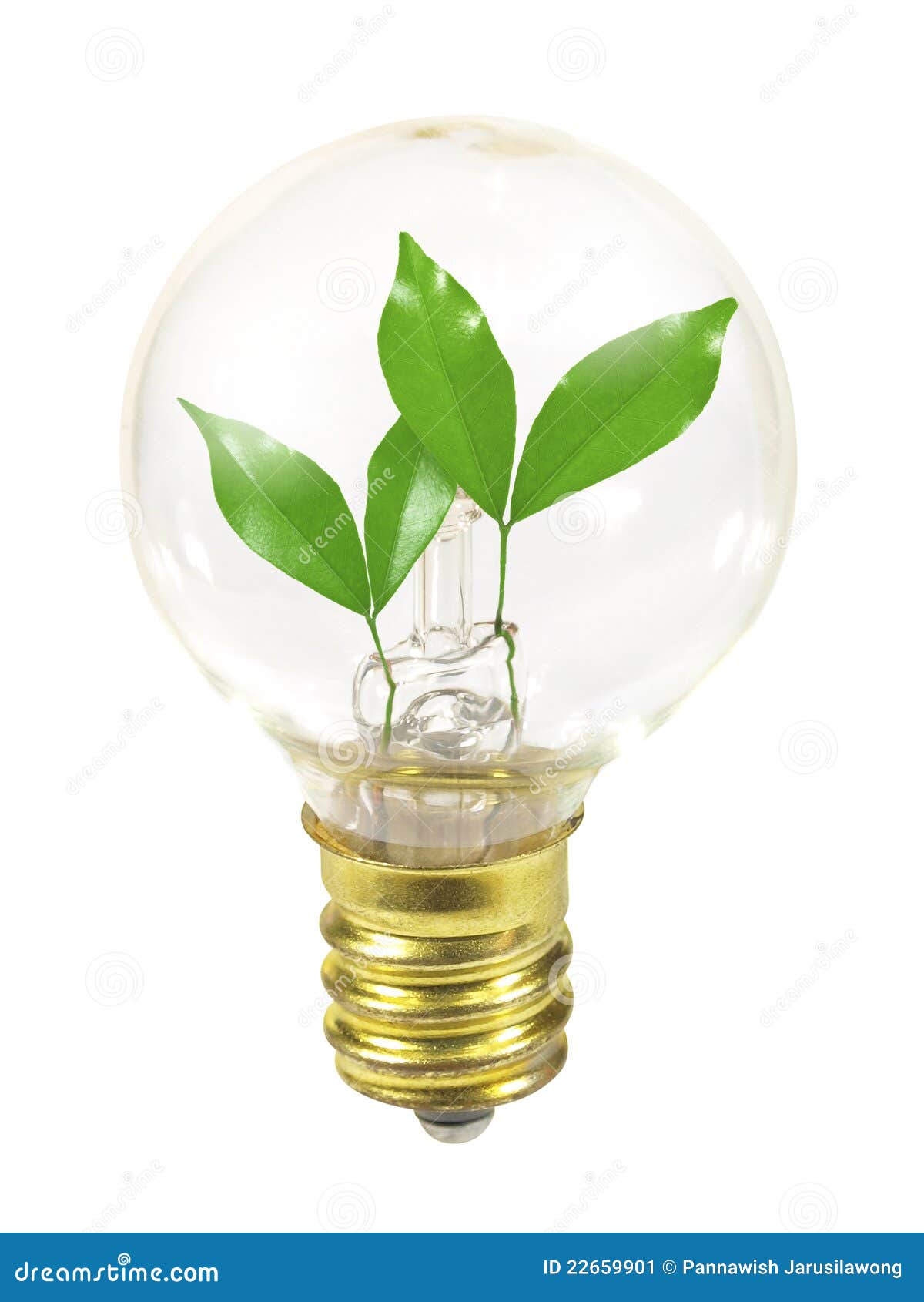 Small Light Bulb with Sprouts Stock Image - Image of growth, renewable ...