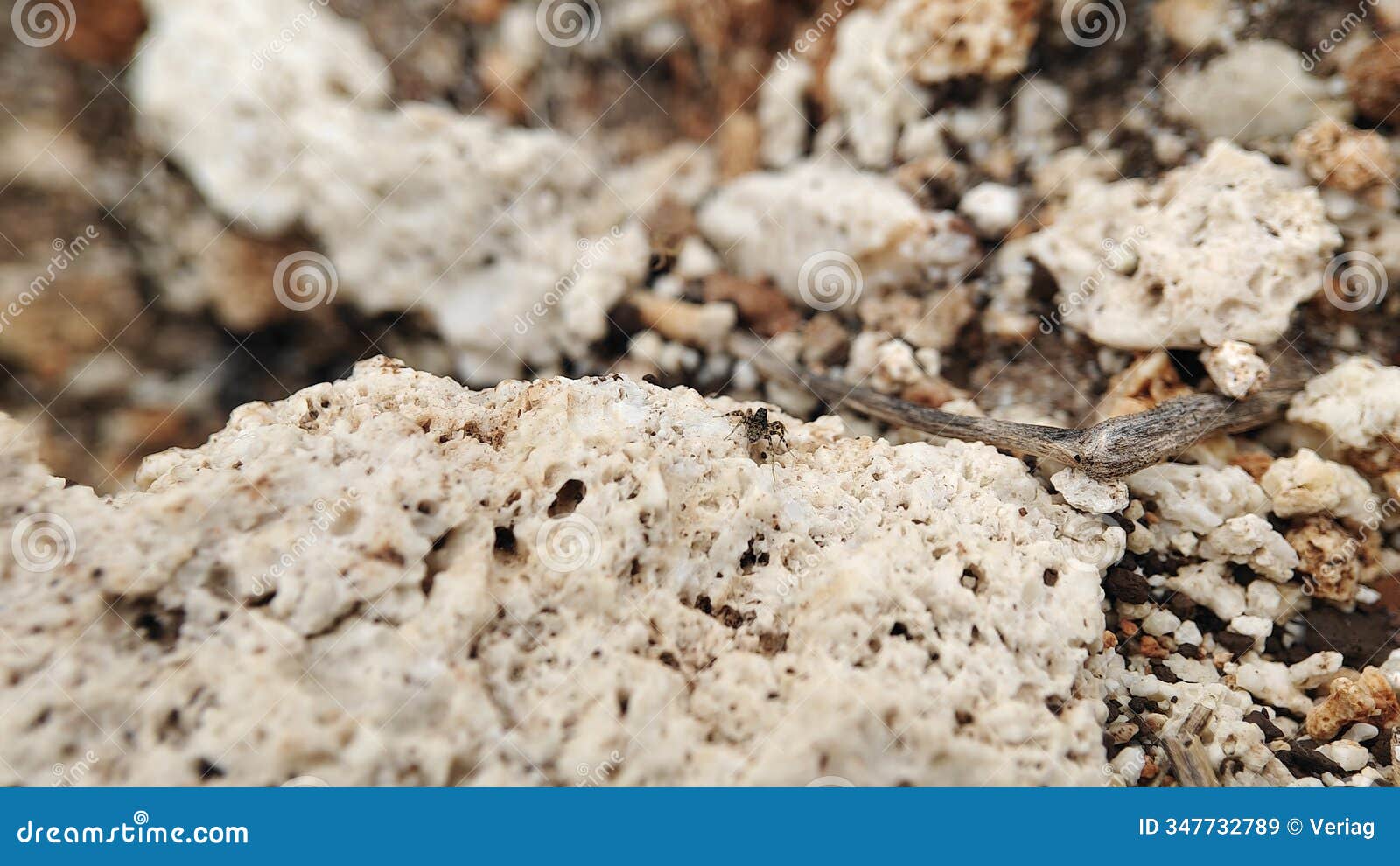 Small Limestone for Rural Roads Stock Image - Image of food, baking ...