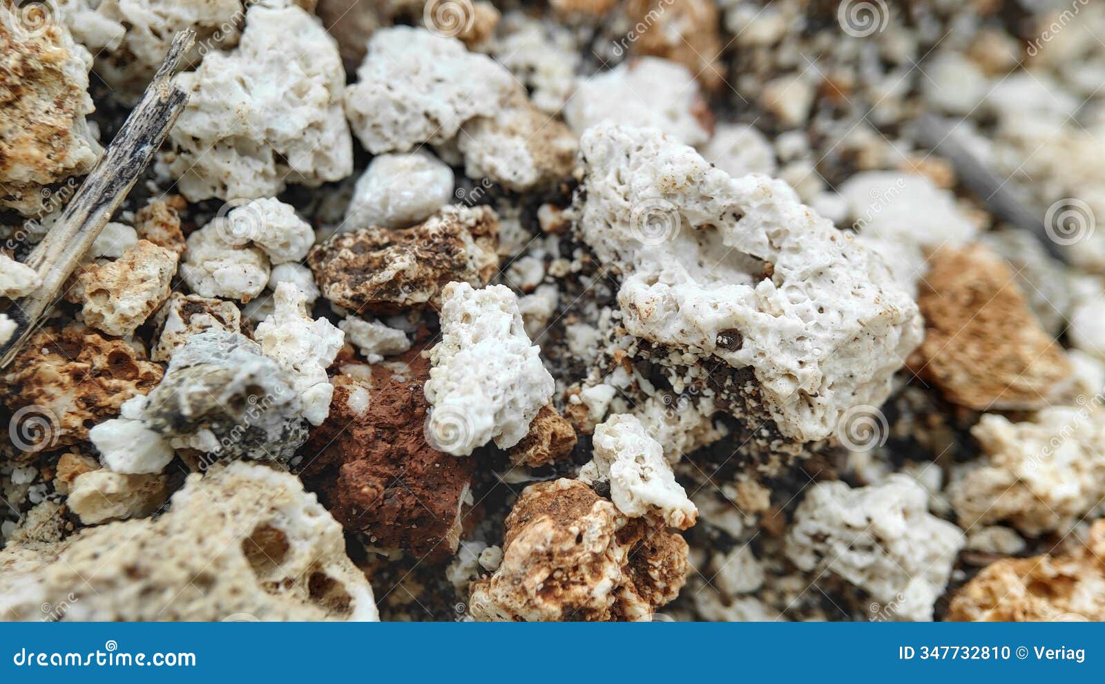 Small Limestone for Rural Roads Stock Photo - Image of baking, meal ...