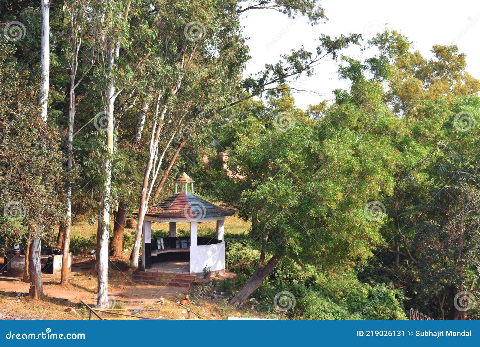 A Small Little Hut Made in the Middle of a Forest Surrounded by Green ...