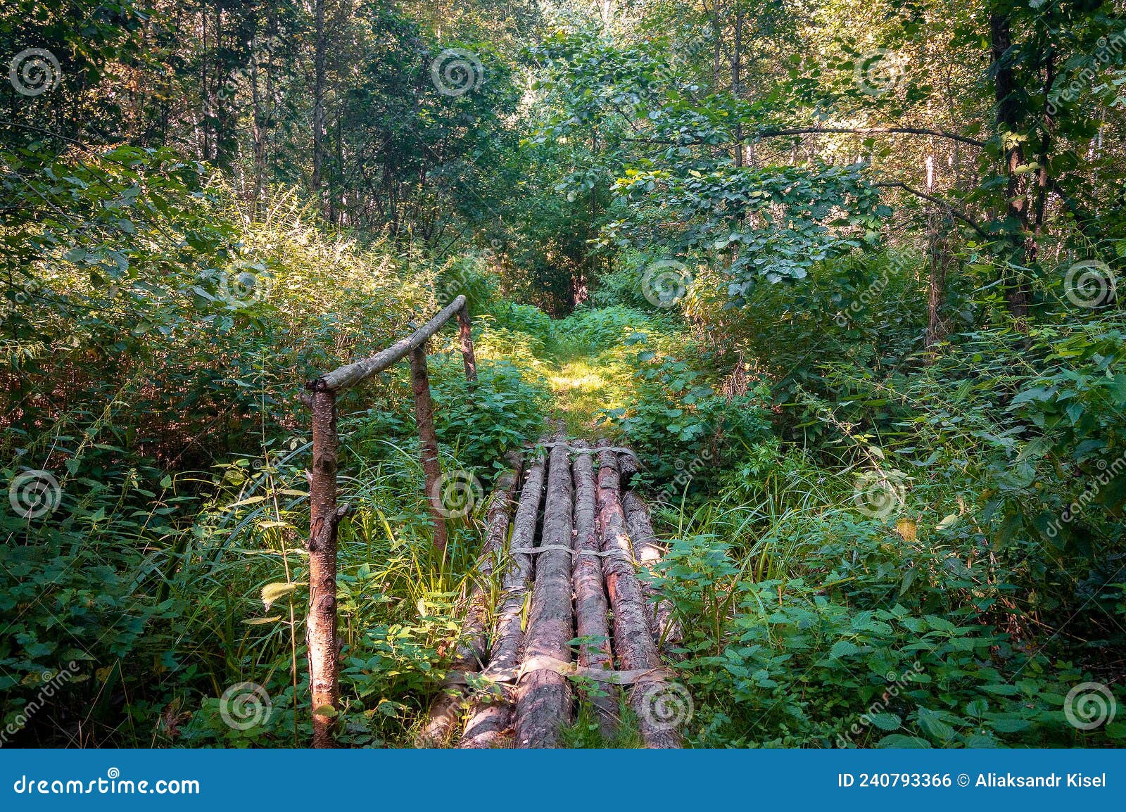 A Small Log Deck with Railings is a Makeshift Pedestrian Bridge Over a ...