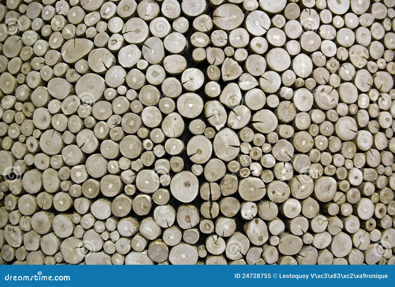 Small logs stock image. Image of natural, nature, logs - 24728755