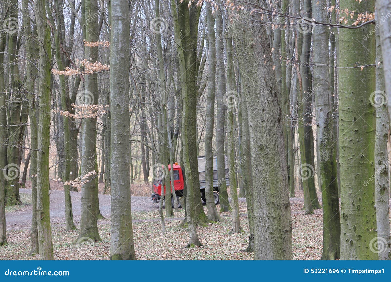 Small lorry in forest stock photo. Image of service, forest - 53221696