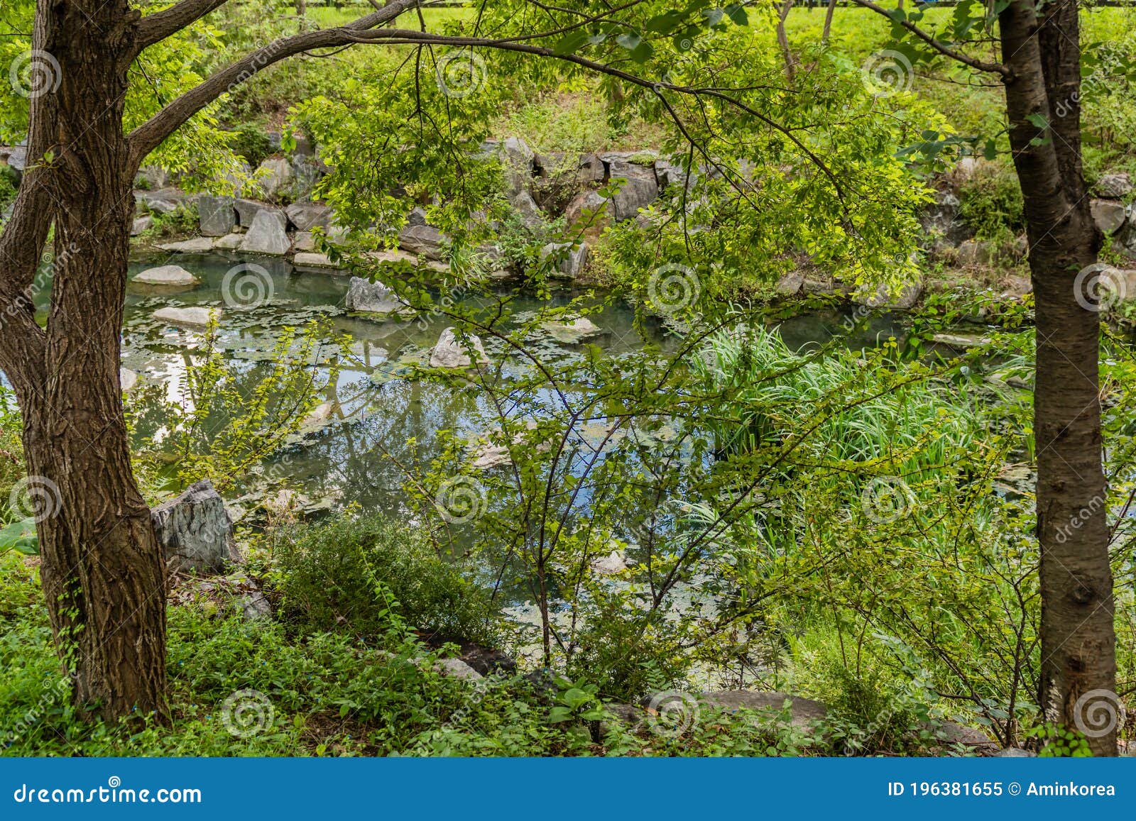 Small Man Made Pond Hidden by Tree Branches Stock Image - Image of ...