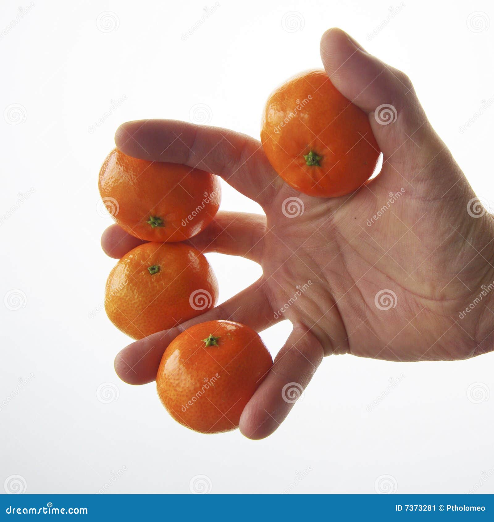 Small Mandarin Orange Cut Half In Crosswise Isolated On White ...