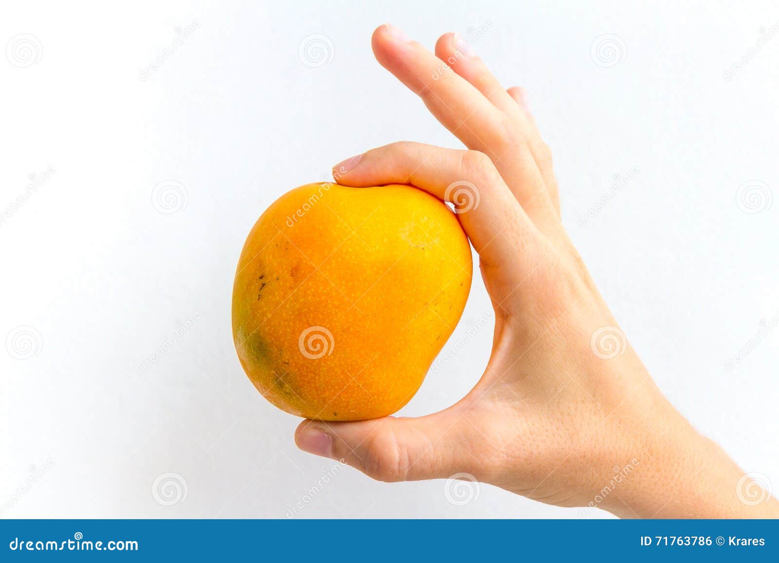 Small Mango Tree Royalty-Free Stock Image | CartoonDealer.com #35127046