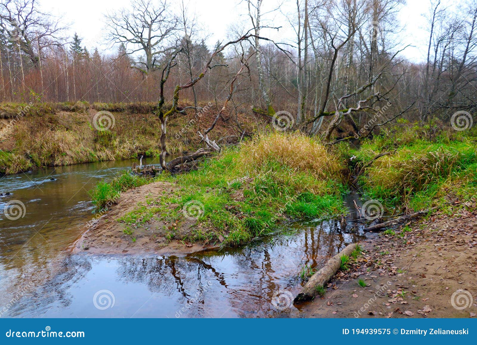 Small Meandering River with Trees in the Water in Autumn Stock Image ...