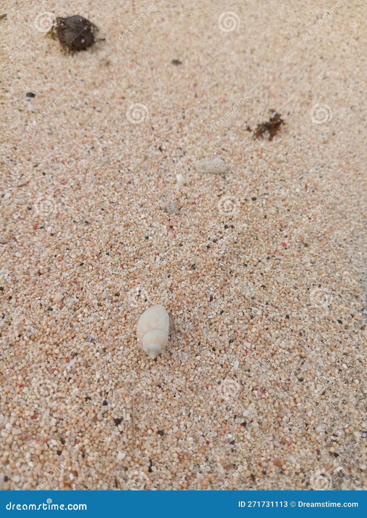 Small but Meaningful Thing, Masterpiece of the Creator. Stock Image ...