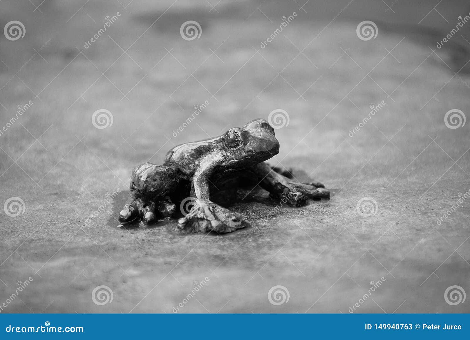 A Small Metal Frog on a Metal Plate. Stock Image - Image of metal ...