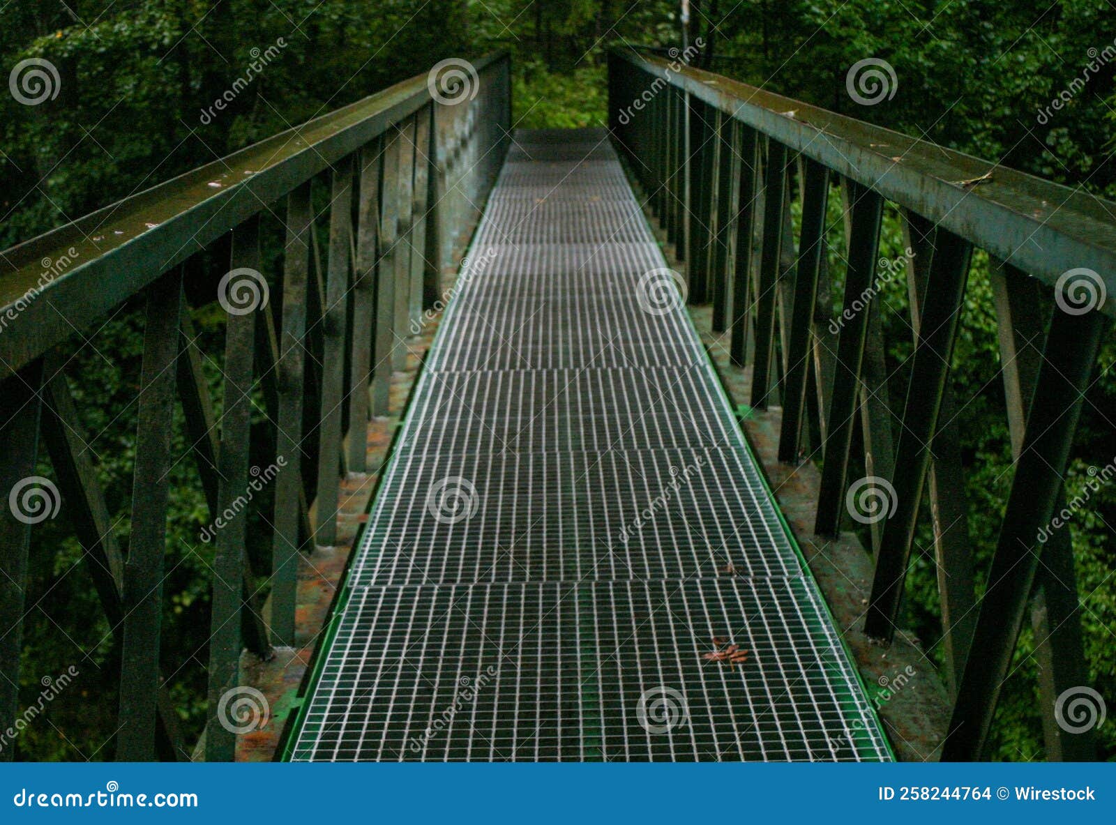Small Metallic Bridge in the Woods with Greenery Around Stock Photo ...