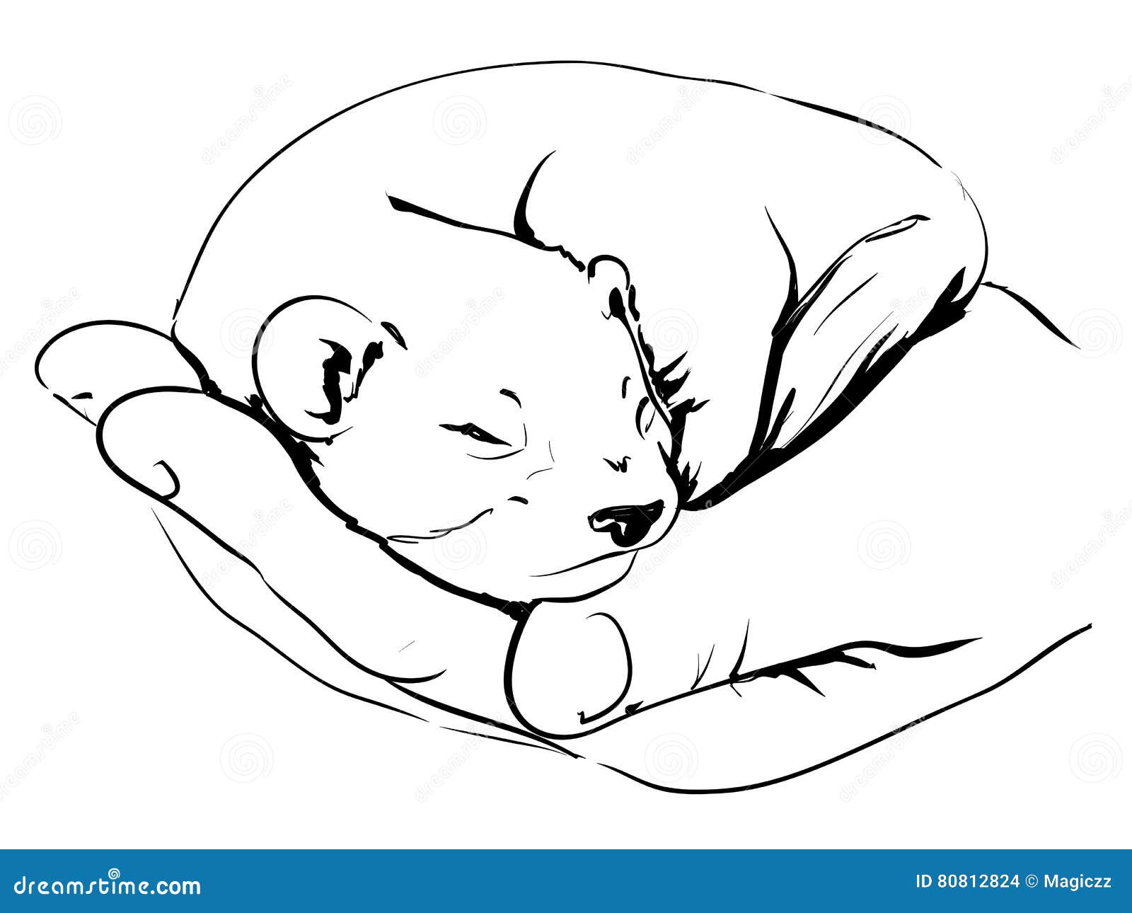 Fun Zoo. Mink Cartoon Vector | CartoonDealer.com #26138783