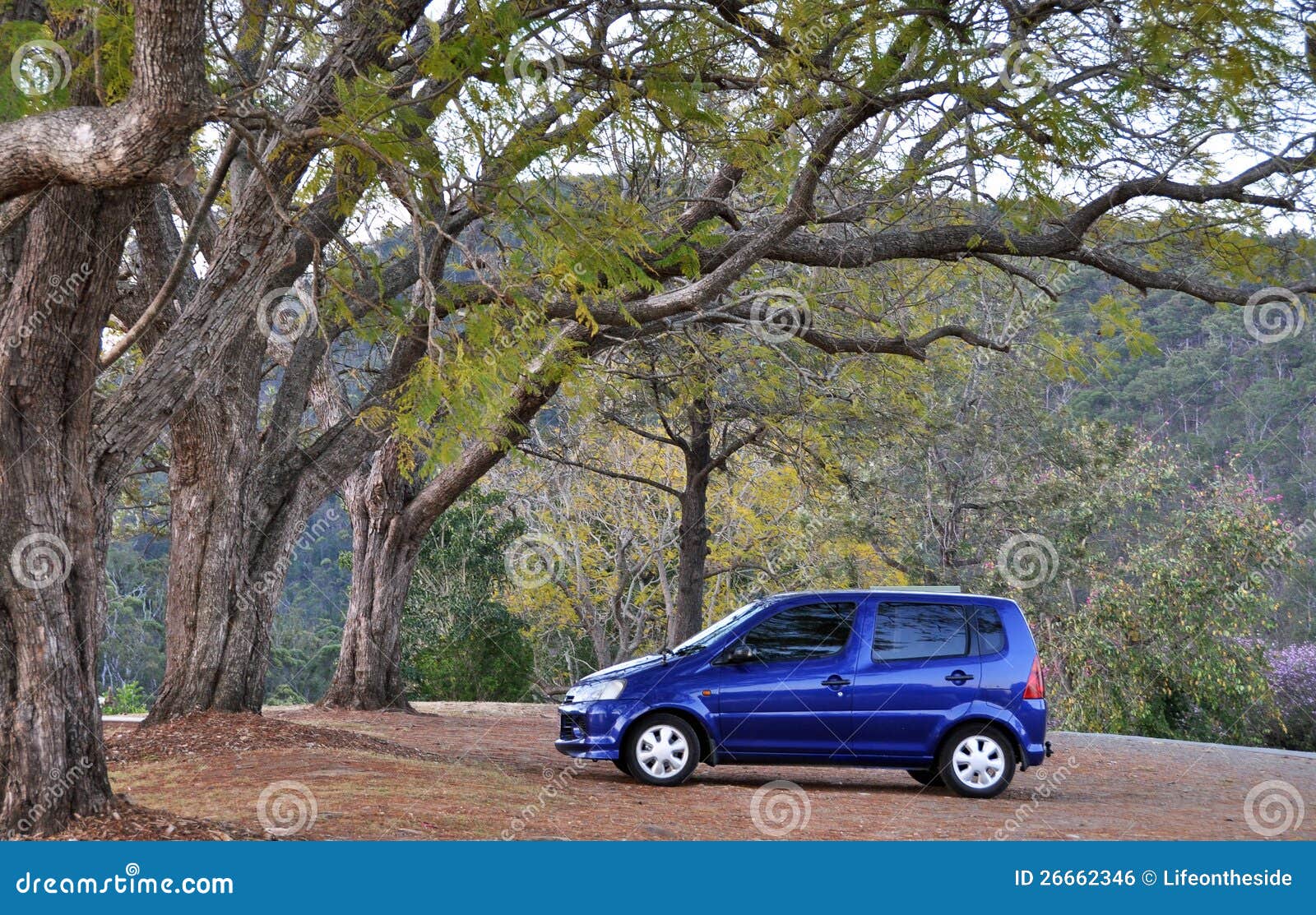 A Small Modern Car Parked Under Huge Trees. Stock Photo - Image of ...