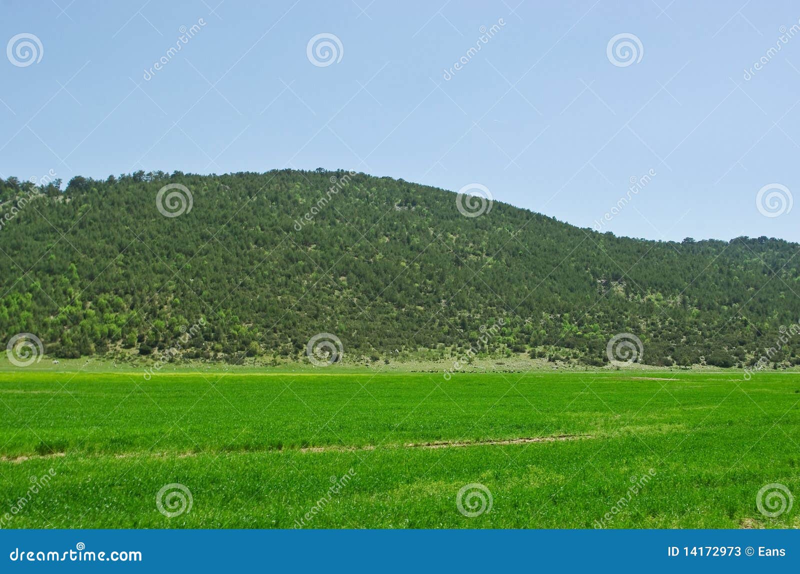 Small mountain stock image. Image of grass, landscape - 14172973