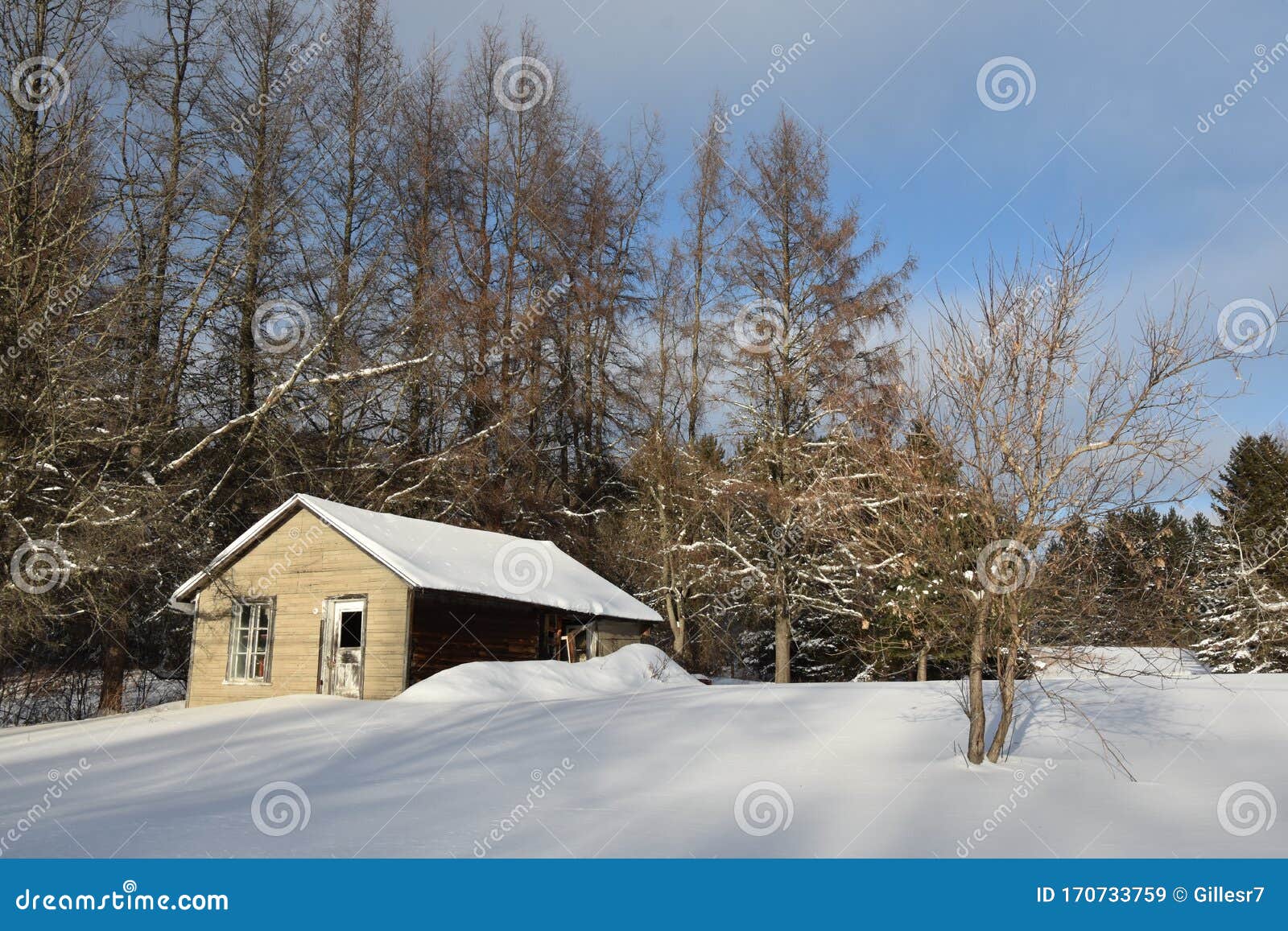 Small Mountain Chalet in the Canadian Forest Stock Image - Image of ...