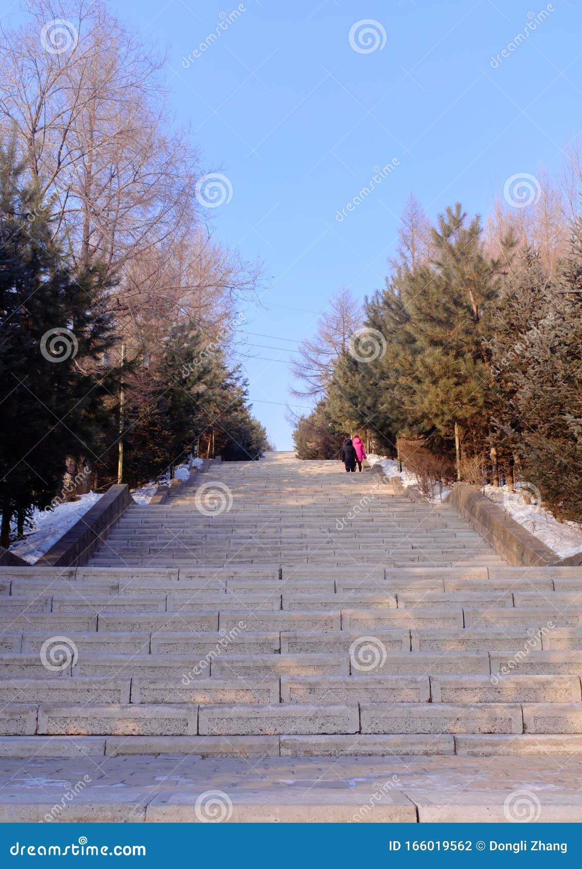 Small Mountain Climbing Steps Stair in Pine Forest Stock Photo - Image ...