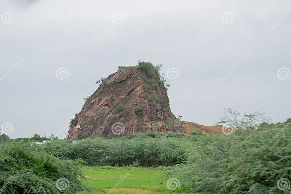A Small Mountain in the Forest Stock Photo - Image of feathers, nature ...