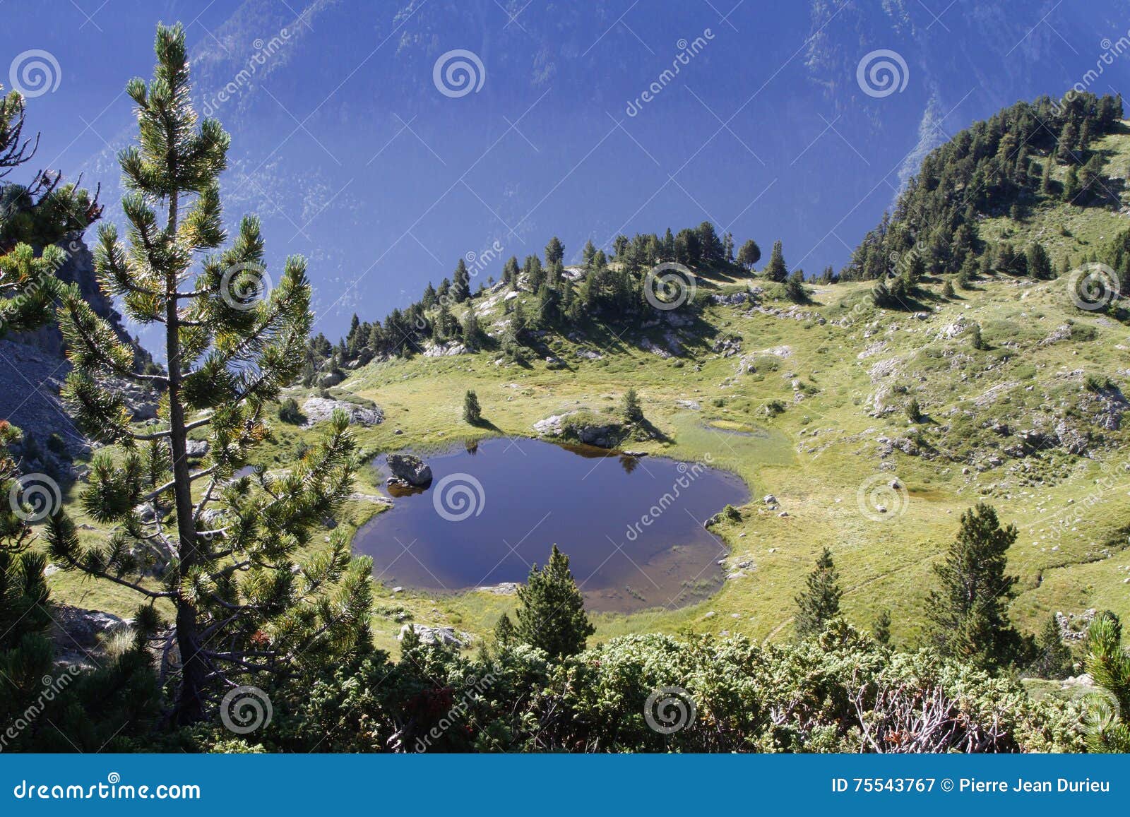 A small mountain lake stock image. Image of chamrousse - 75543767