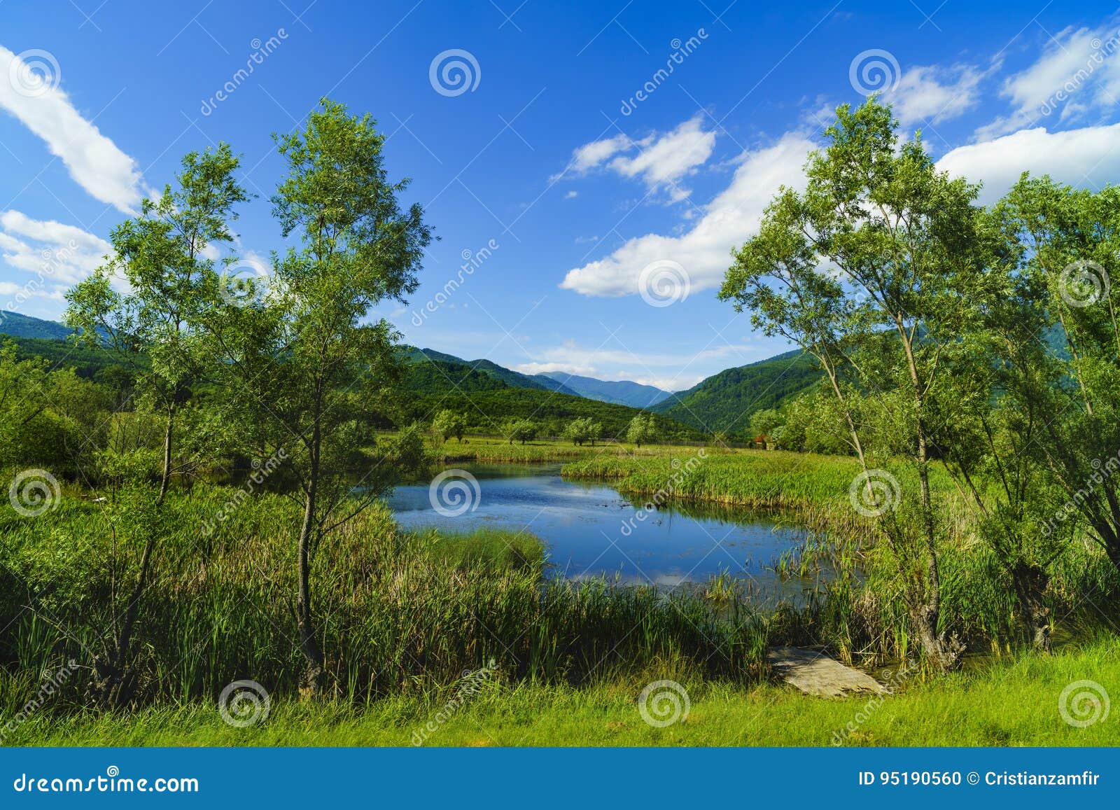 A Small Mountain Lake in the Mountains Stock Photo - Image of bright ...