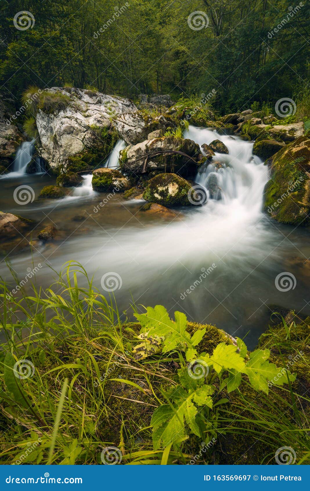 Small Mountain River Flowing in a Waterfall with Vegetation in the ...