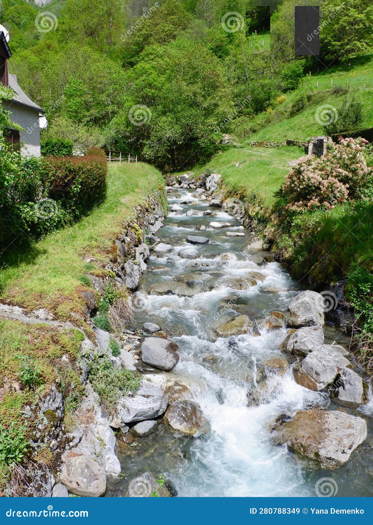 A Small Mountain River Flows through the Forest Going Down from the ...