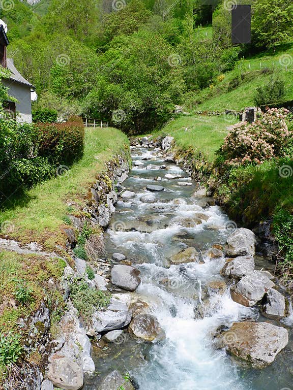 A Small Mountain River Flows through the Forest Going Down from the ...