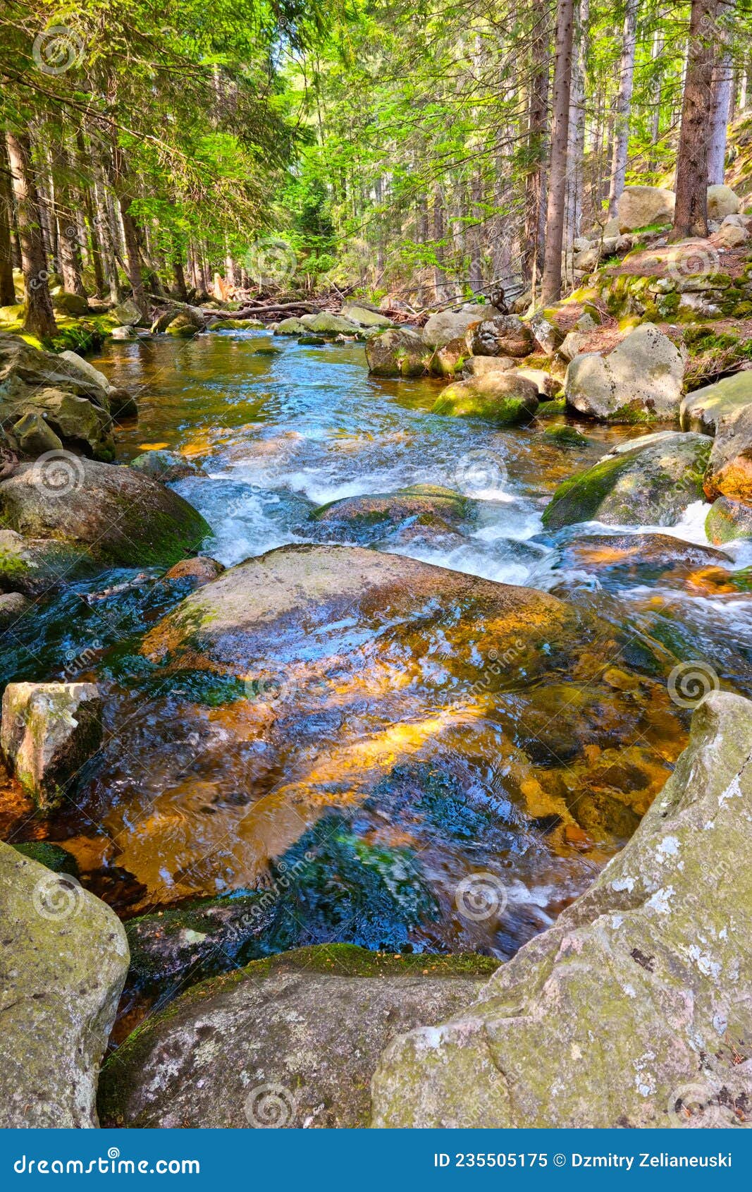A Small Mountain River Flows Over Rocks in the Forest. Stock Image ...