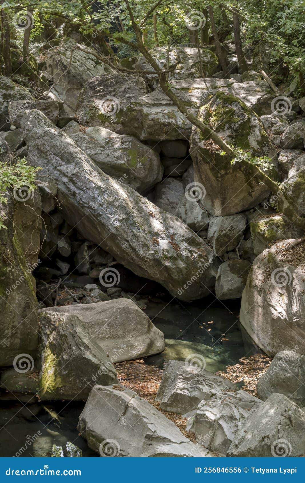 A Small Mountain River Flows on a Sunny Summer Day Greece Stock Photo ...
