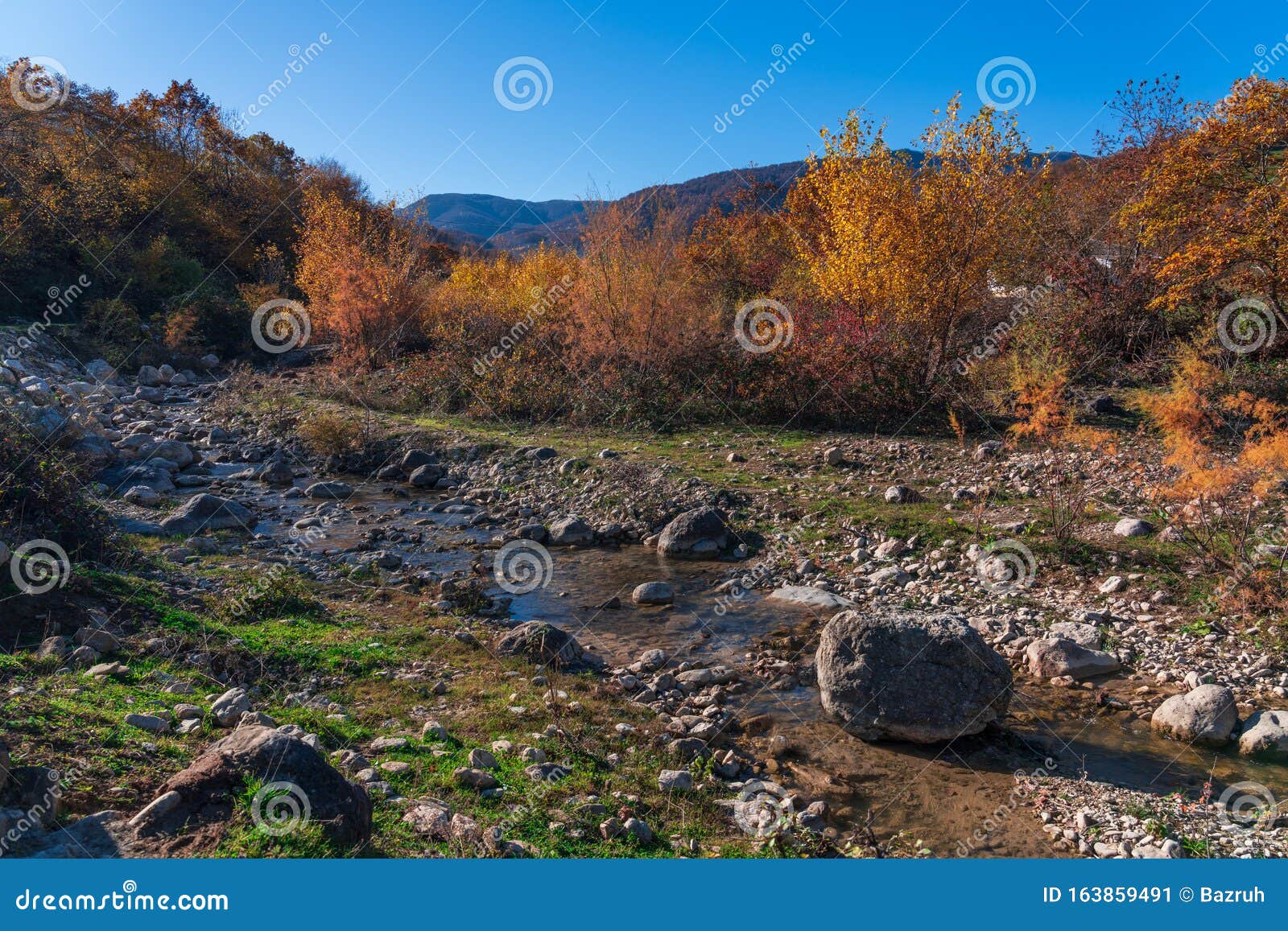 Small Mountain River in a Forest Valley Stock Image - Image of pebbles ...