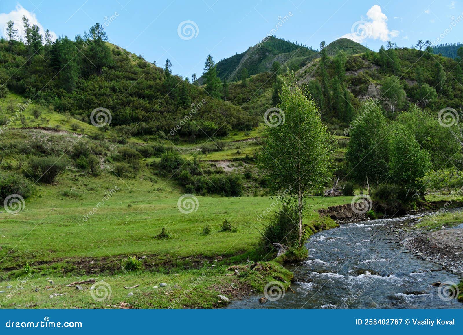 A Small Mountain River in a Green Valley Stock Image - Image of beauty ...