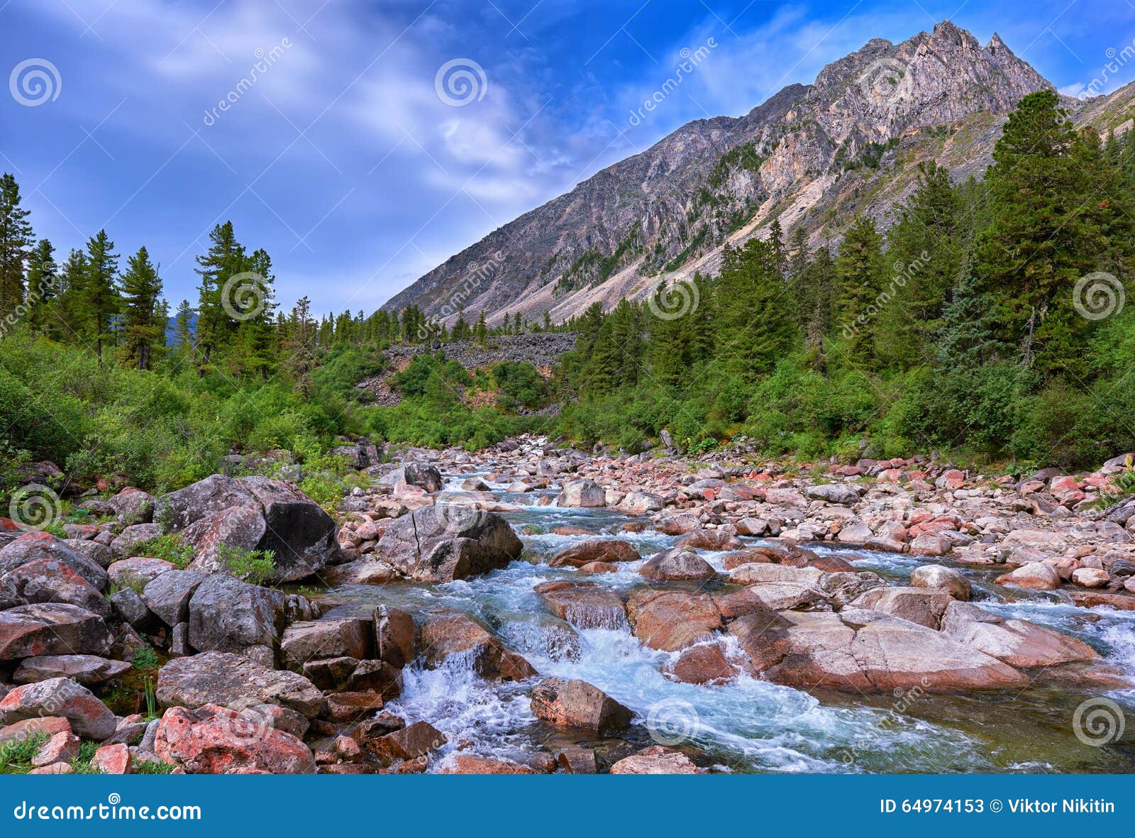 Small Mountain River in Siberia Stock Image - Image of mountain, cedar ...