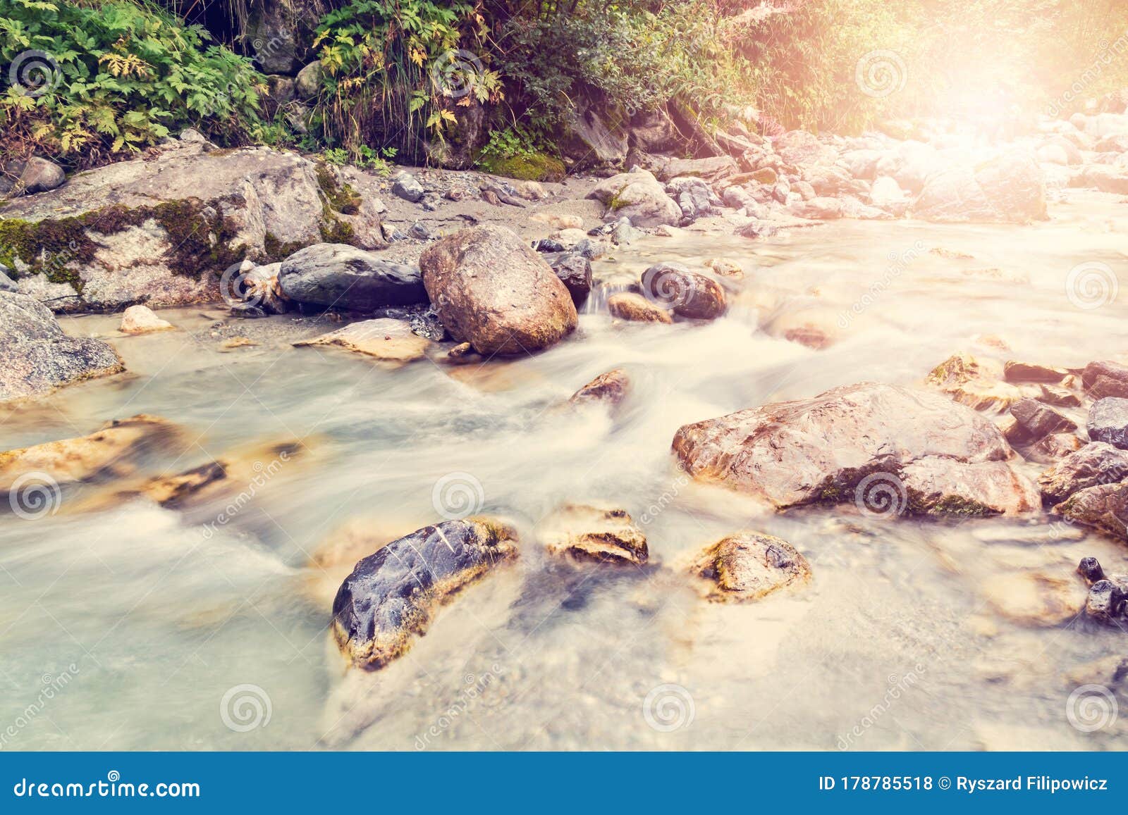 Small Mountain River, Stream. Stock Photo - Image of scenic, moss ...
