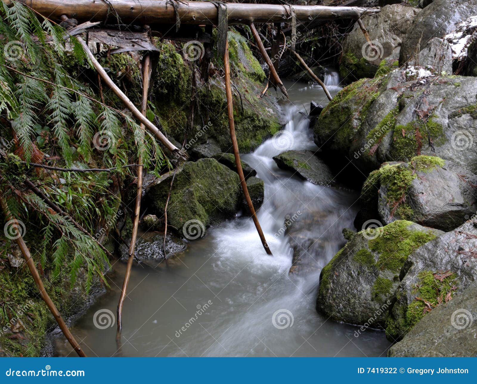 Small mountain stream. stock photo. Image of river, flowing - 7419322