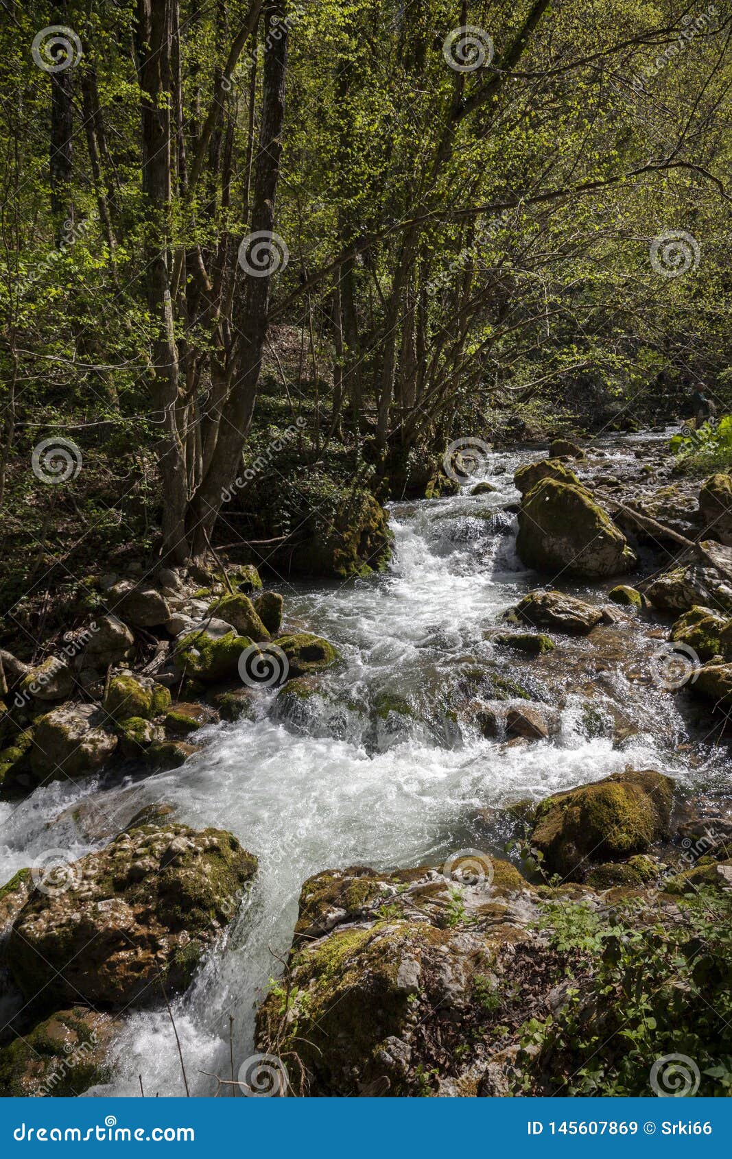 Small mountain stream stock image. Image of rock, background - 145607869