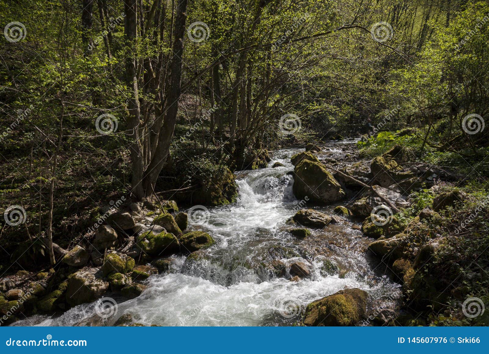 Small mountain stream stock photo. Image of moving, great - 145607976