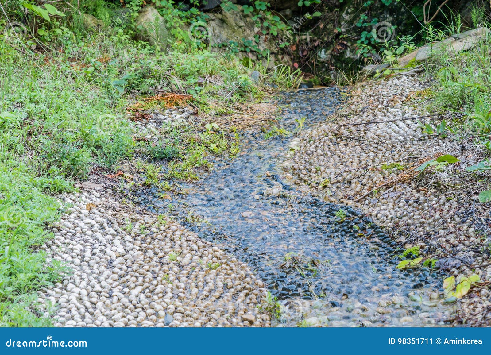 Small Mountain Stream Flowing Over Pebbles Stock Image - Image of rocks ...