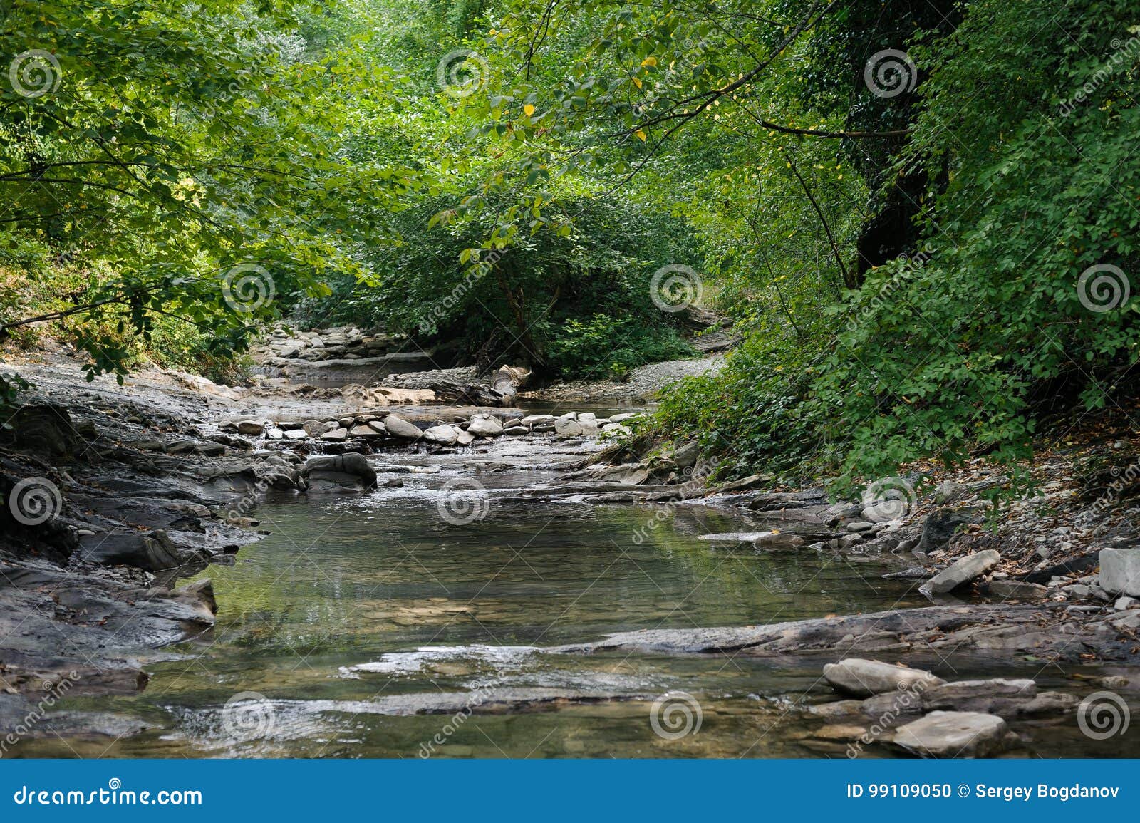 Small mountain stream stock photo. Image of rock, flow - 99109050