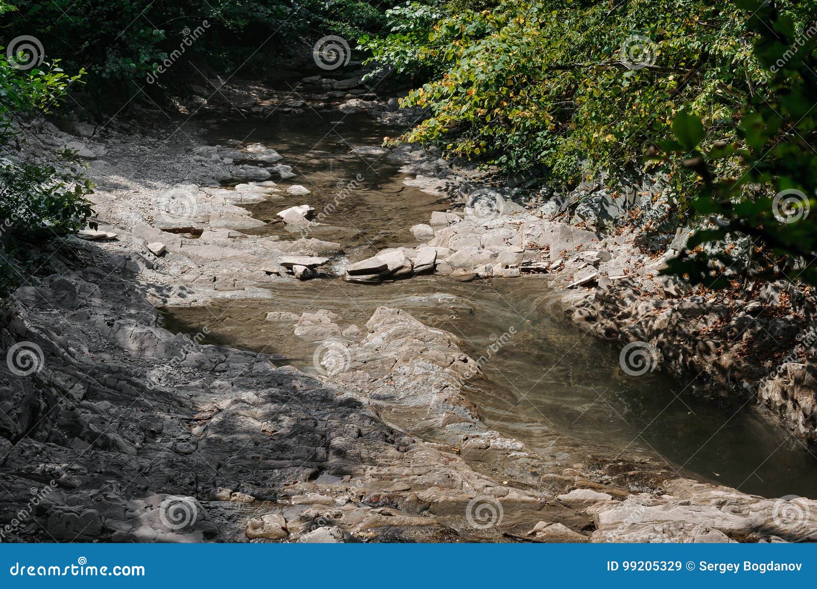 Small mountain stream stock image. Image of tree, forest - 99205329