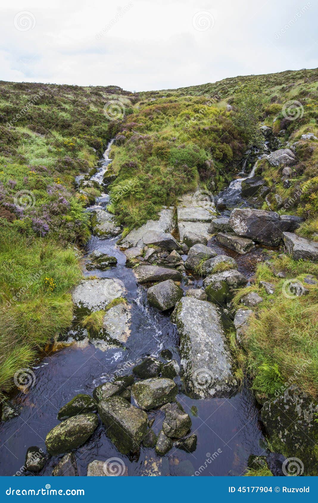 A Small Mountain Stream in the Meadow in Ireland Stock Photo - Image of ...