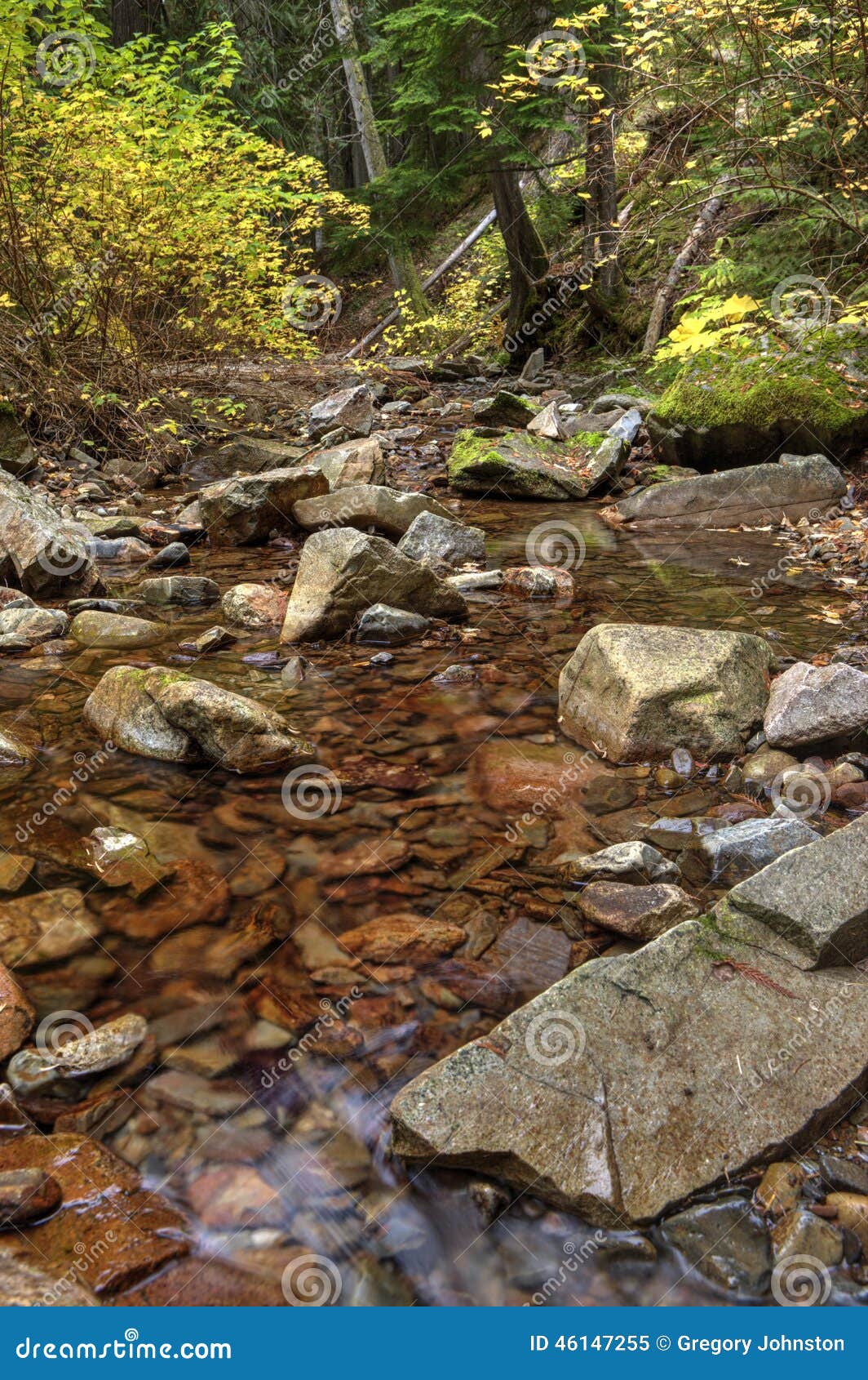 Small mountain stream. stock image. Image of leaf, boulder - 46147255