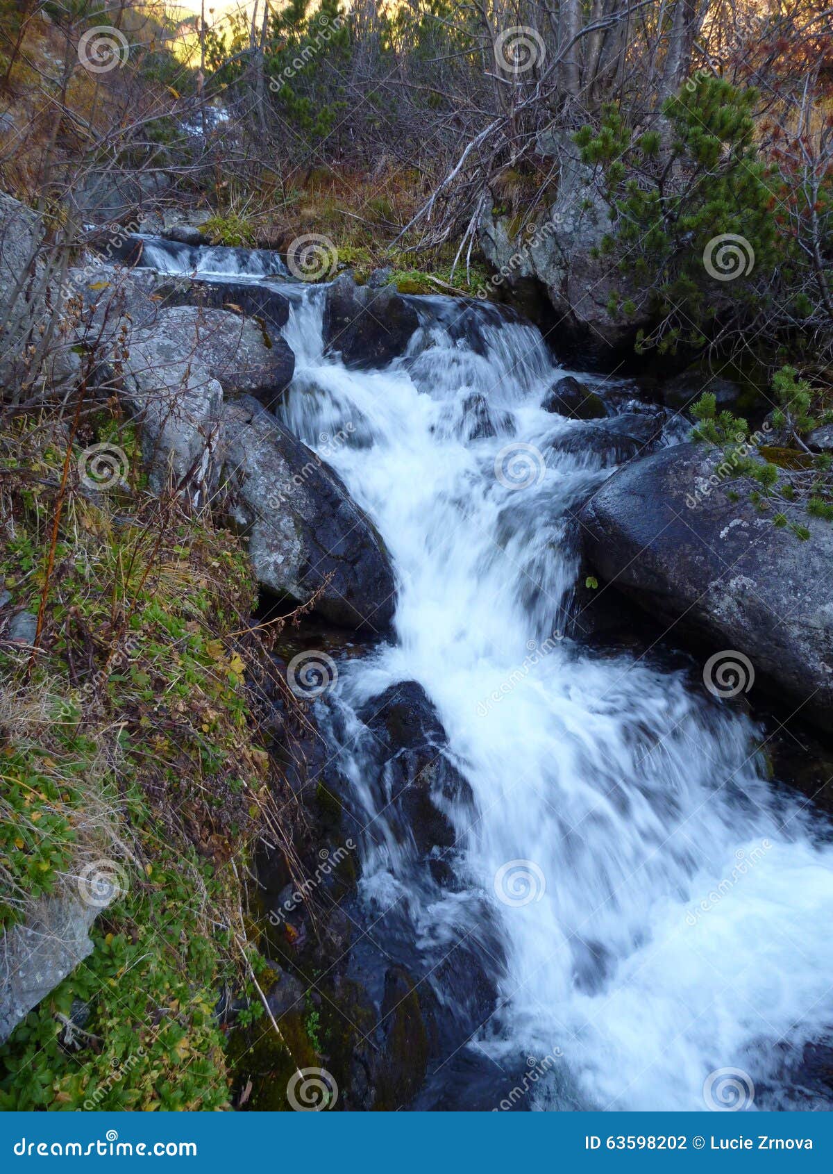 Small Mountain Stream in the Shadow Stock Photo - Image of fresh ...